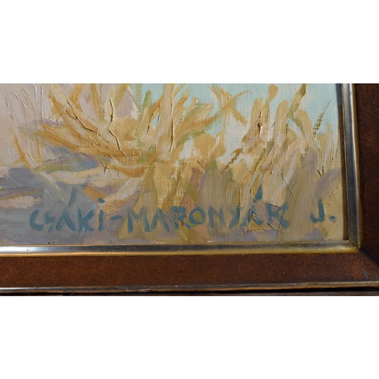 Csáki-Maronyák József: Balatoni táj – Fári Antikvitás & Art Galéria